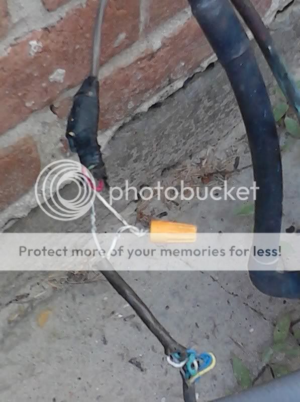 Sit Boo Boo, Sit! | DIY Home Improvement Forum