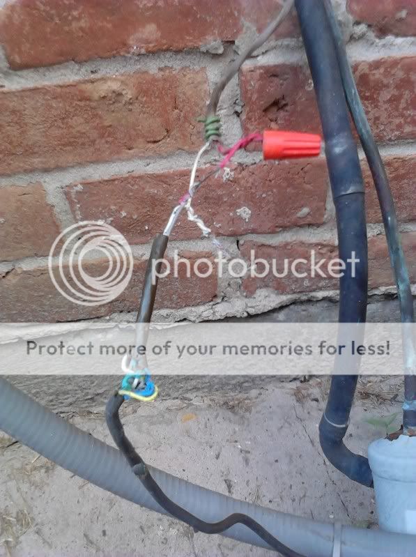 Sit Boo Boo, Sit! | DIY Home Improvement Forum