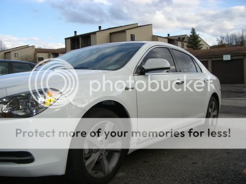 20% Tint on White Malibu | Chevrolet Malibu Forums